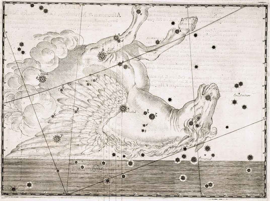 Johann Bayer (1572 – 1625) - Uranometria Omnium Asterismorum | WallHapp Catalogue